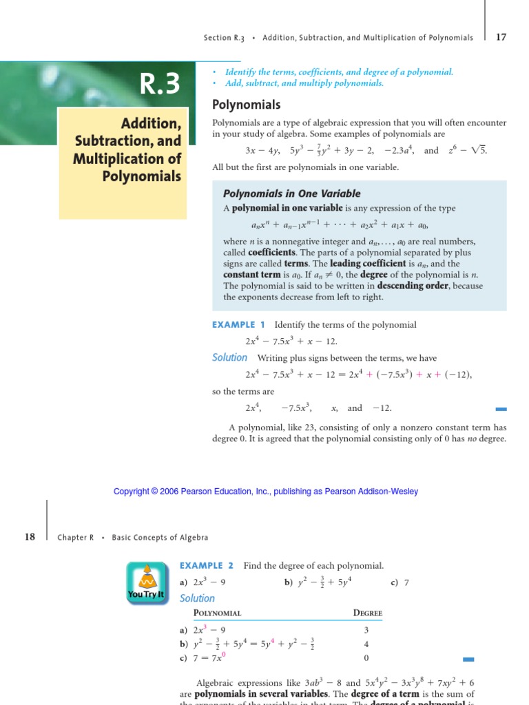 Polynomials Lesson Assign Compressed Pdf Polynomial Mathematics Of Computing