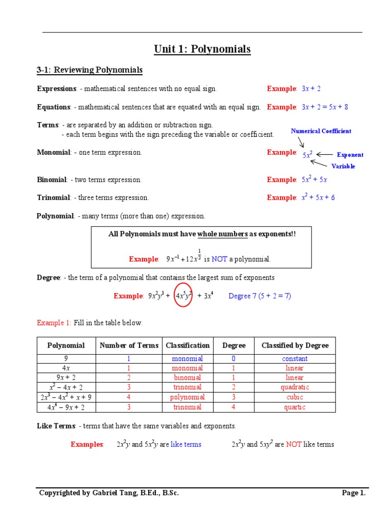 Polynomials Notes | PDF | Polynomial | Computational Science