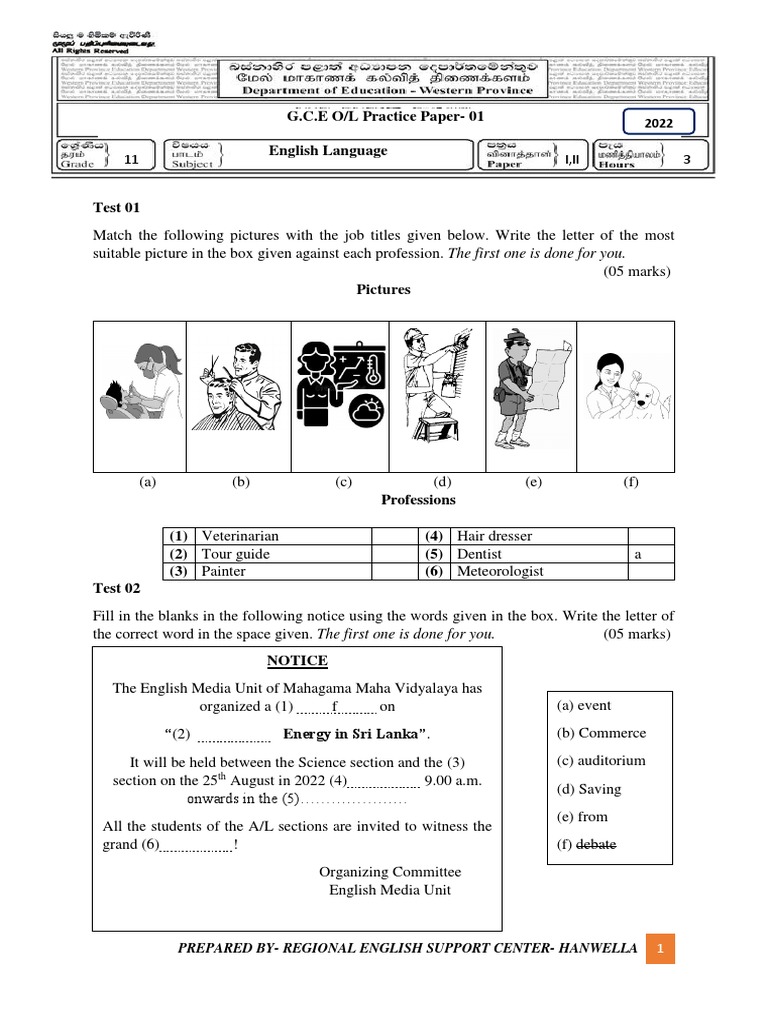 Grade 11 English Practice Paper 1 | PDF | Giant Panda | Bears