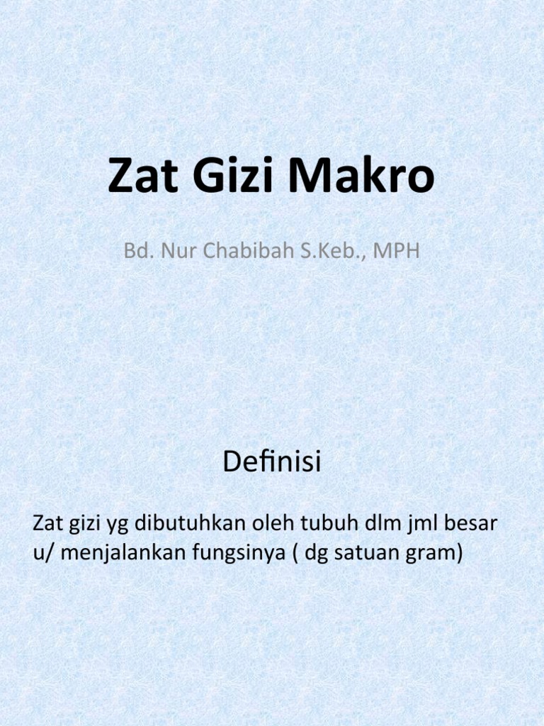 Zat Gizi Makro | PDF