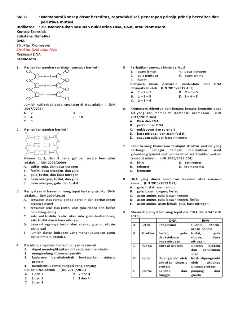 Soal Genetika dan Struktur DNA | PDF | Sains & Matematika