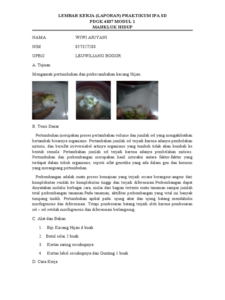 IPA Modul 1 Dan 2 | PDF