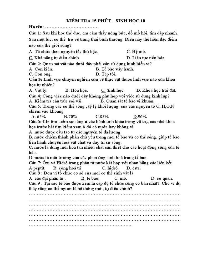 KIỂM TRA 15 PHÚT- B1-4 KNTT | PDF