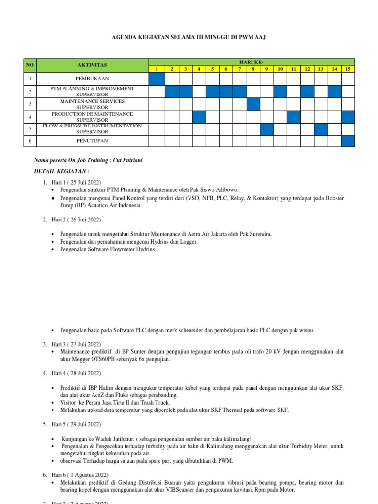Detail Kegiatan Cut Putri Selama III Minggu Di PWM AAJ | PDF