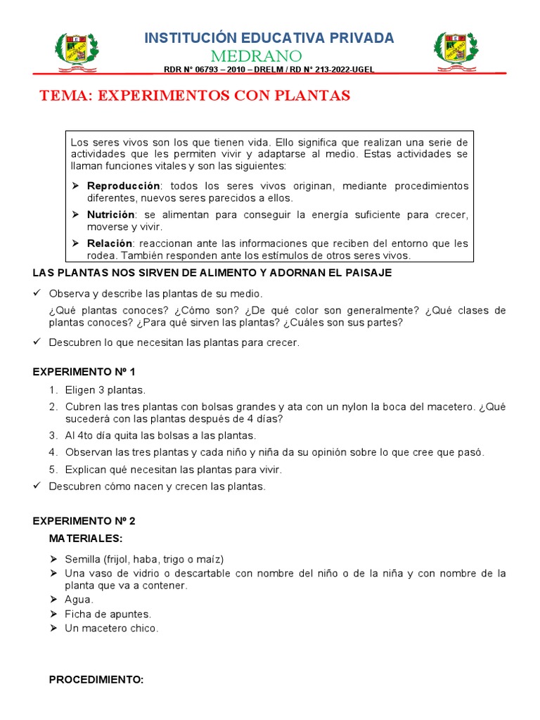 La Planta - Mis Pamela | PDF | Plantas | Botánica