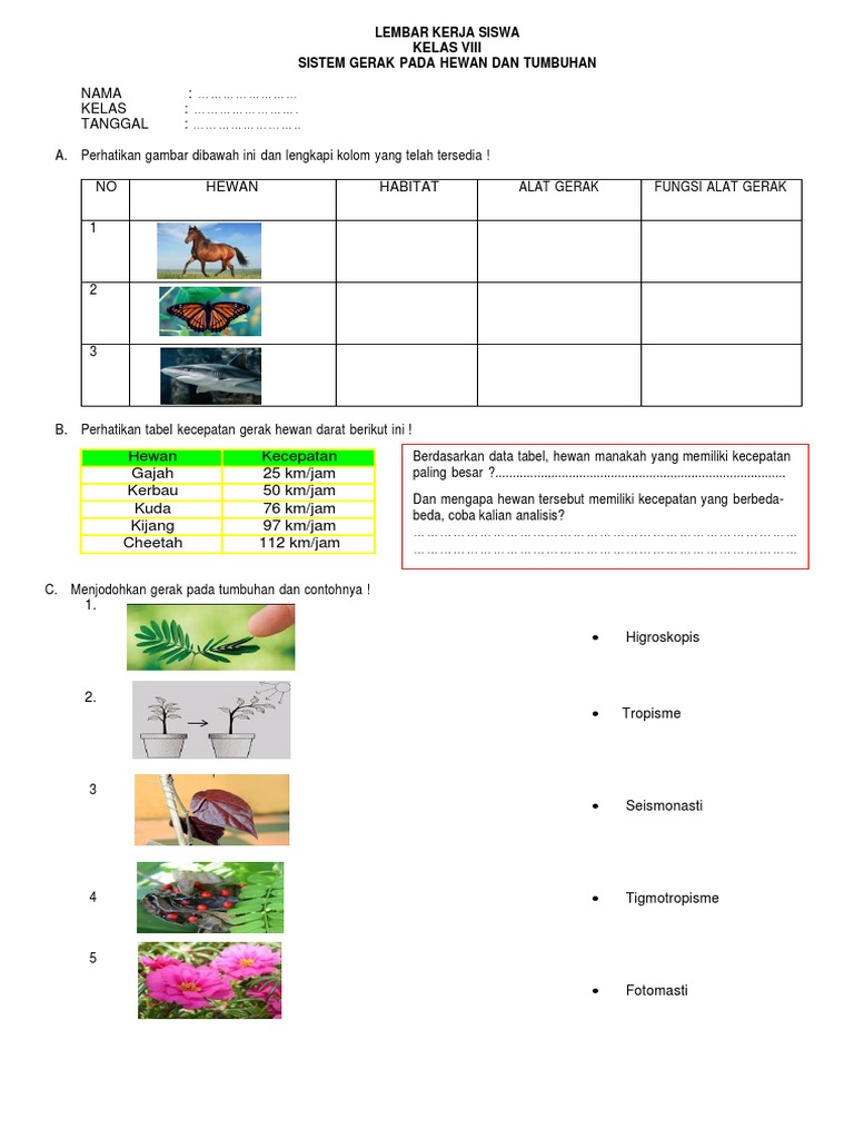 LKPD Sistem Gerak Tumbuhan | PDF