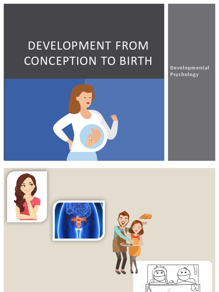 3 - Development From Conception To Birth | PDF | Prenatal Development ...