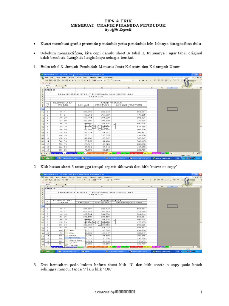 Tips Membuat Grafik Piramida Penduduk | PDF