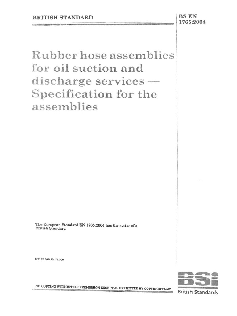 BS en 1765 2004 | PDF