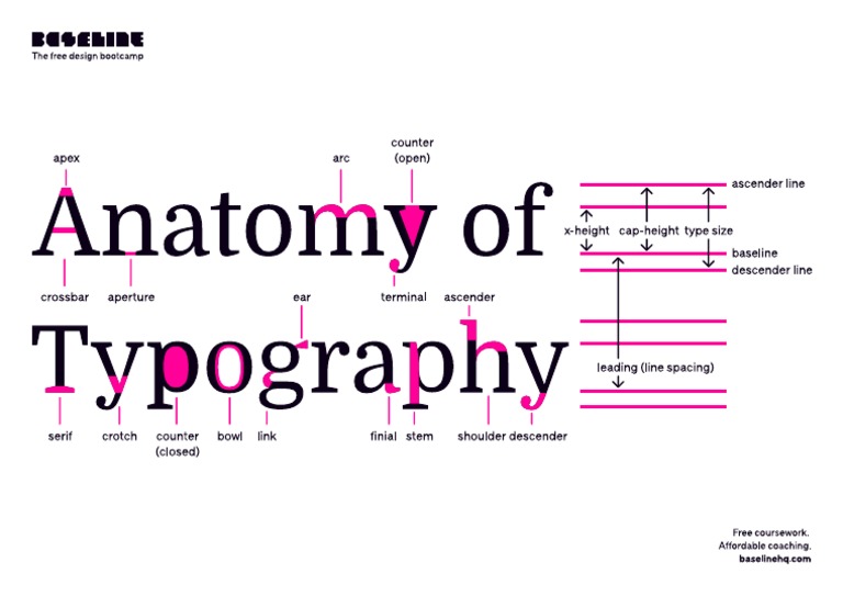 Anatomy of Typography Poster | PDF