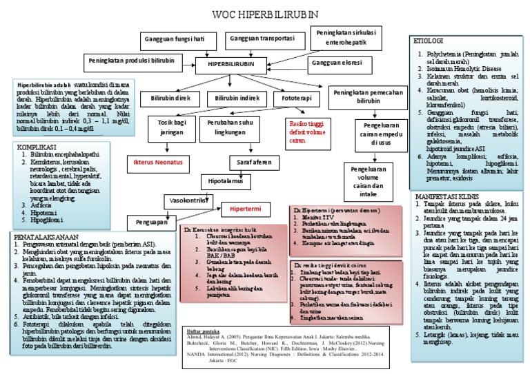 Woc Hiperbilirubin | PDF