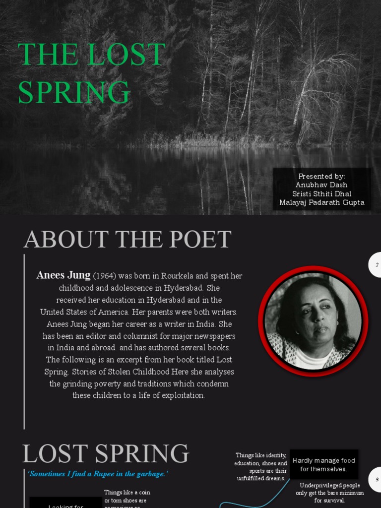 Lost Spring | Download Free PDF | Slum