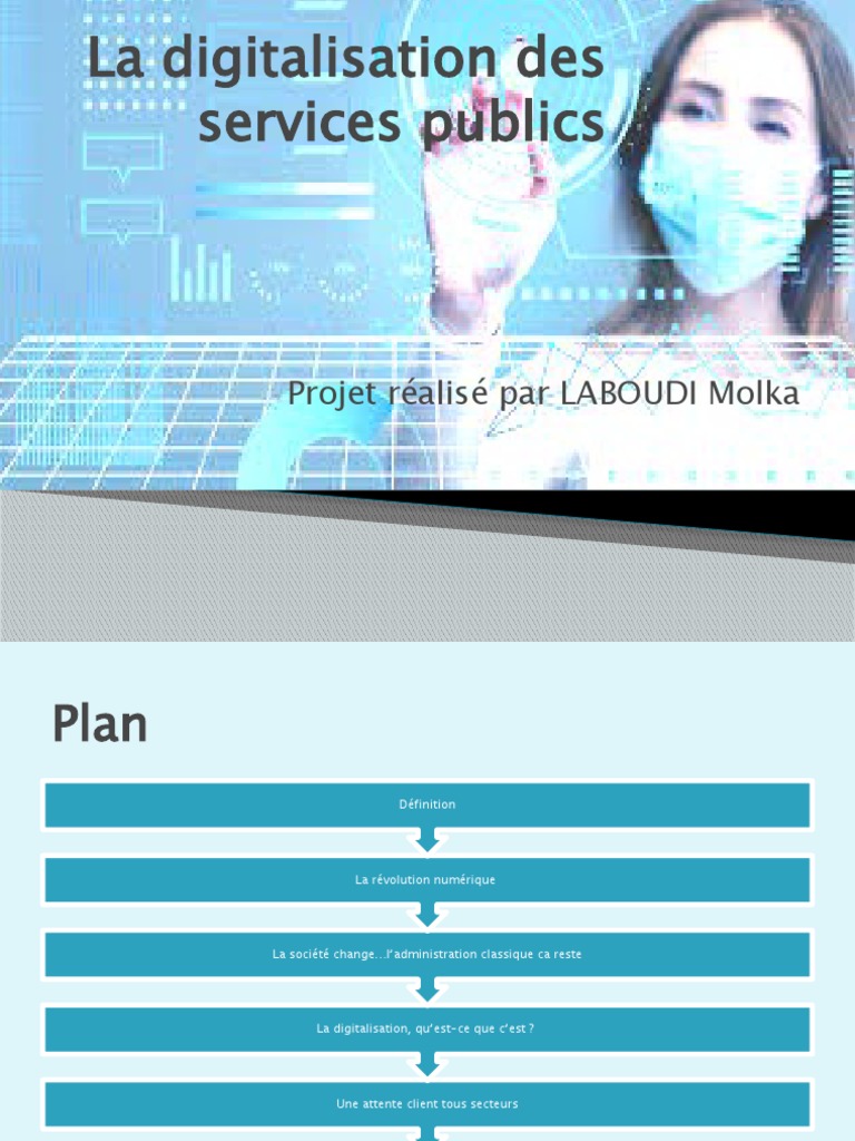 La Digitalisation Des Services Publics | PDF | Consommateurs | Business