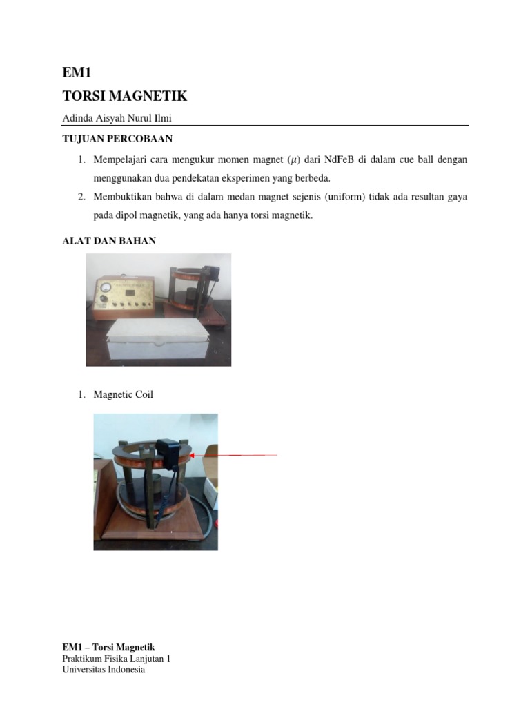EM1 - Torsi Magnetik | PDF