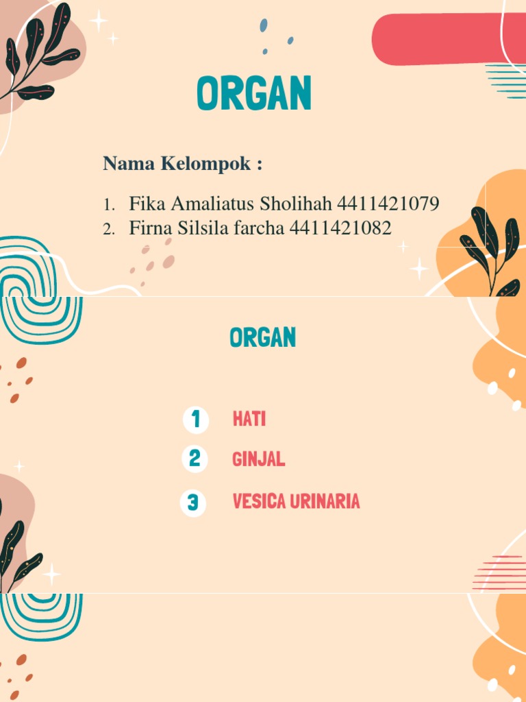 Struktur Jaringan Organ | PDF