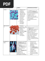 Función y Efectos de la Motilina | PDF | Diarrea | Intestino delgado