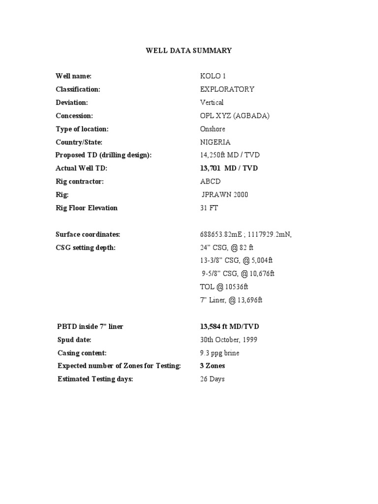 Well Data Summary Program | PDF | Casing (Borehole) | Pressure