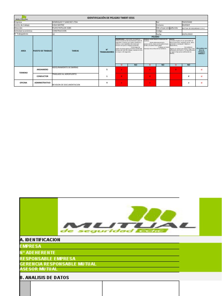 Matriz de Riesgos TMERT | PDF | Mano | Sistema musculoesquelético