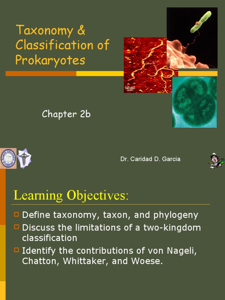 Prokaryotic Taxonomy and Woese's Impact | PDF | Cell (Biology ...