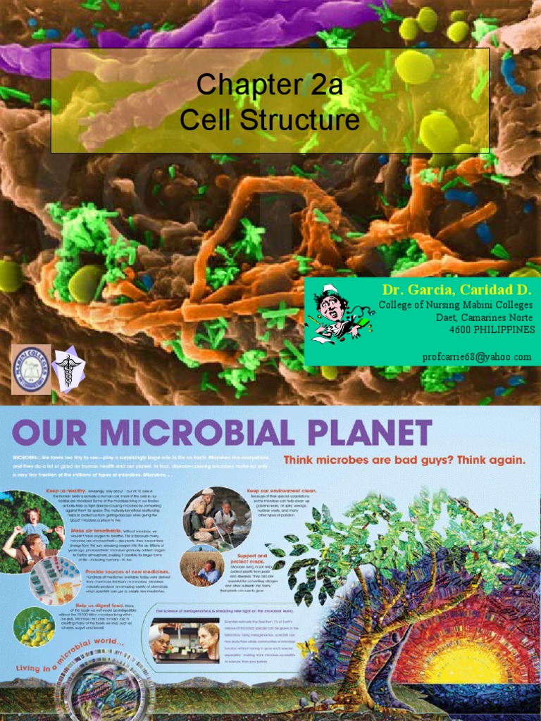Micro CH 2a Structure | PDF | Cell Membrane | Cell (Biology)