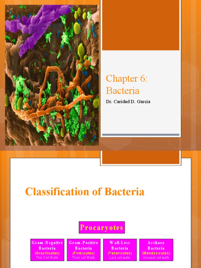 Micro CH 6 Bacteria | PDF | Streptococcus | Mycobacterium