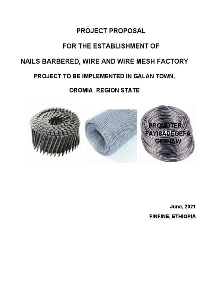 Kidist Galan Nail, Wire Mesh | PDF | Welding | Construction