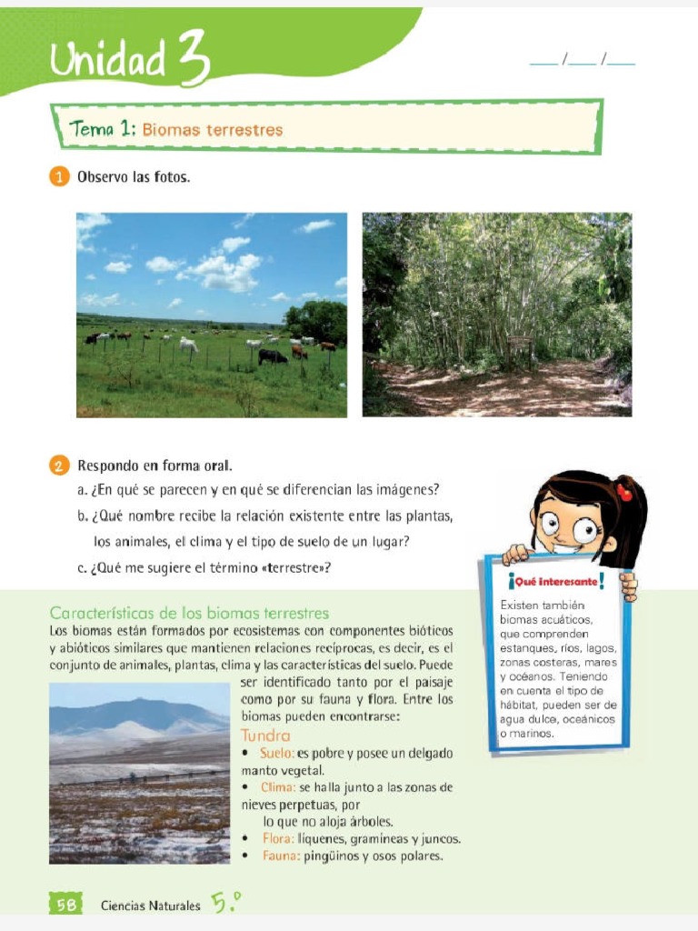 Ciencias Naturales Segundo Ciclo | PDF