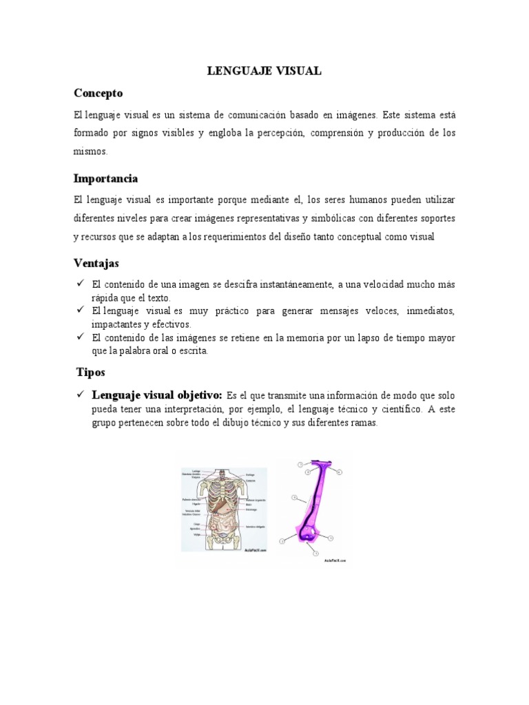 Lenguaje Visual: Concepto e Importancia | PDF