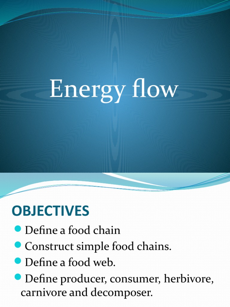 Energy Flow in Ecosystems | PDF | Food Web | Systems Biology