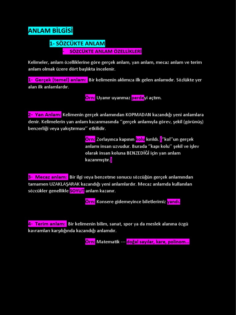 Anlam Bi̇lgi̇si̇ | PDF