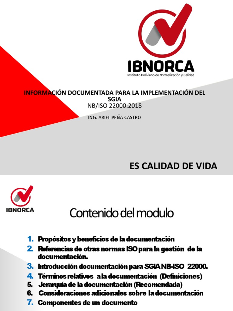 Documentacion Del Sgia 2021 | PDF | Análisis de Riesgo y Puntos ...