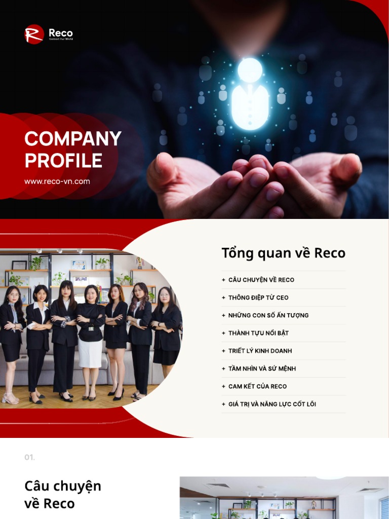 Reco Profile | PDF