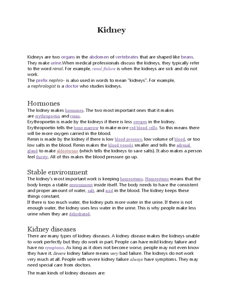 Kidney | PDF | Kidney | Kidney Disease