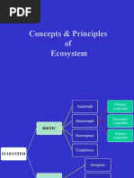 Interactive Guide to Ecological Succession | PDF | Flowers | Earth Sciences