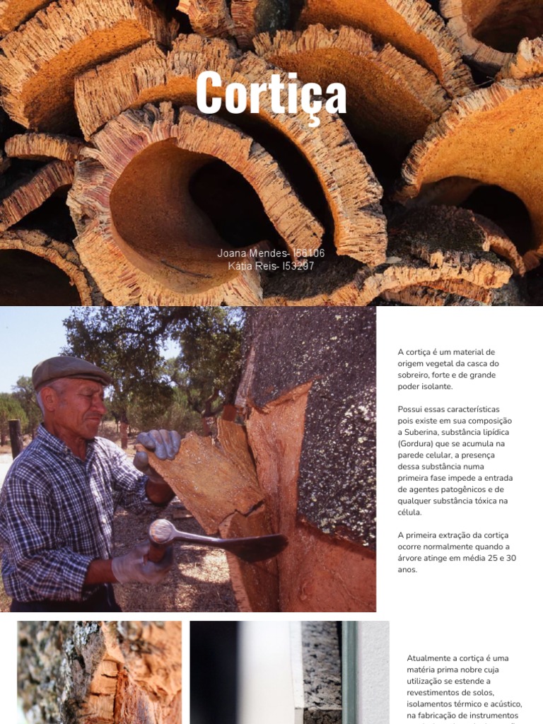 Aplicações Sustentáveis da Cortiça | PDF