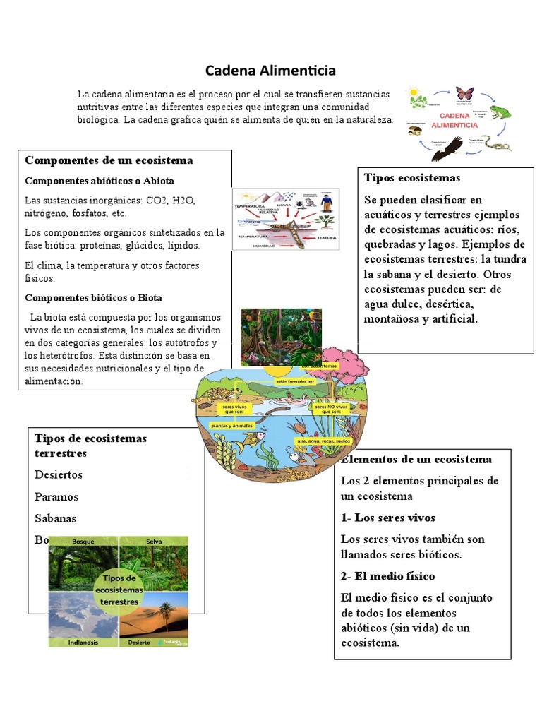 Cadenas Alimentarias Tundra Biome Beasts (Series) – Rourke