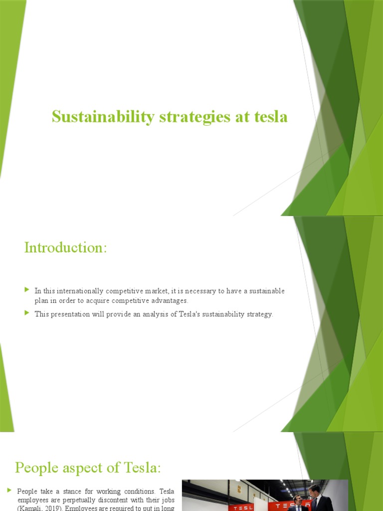 Tesla's Sustainability Strategies Explained | PDF | Sustainable Energy ...