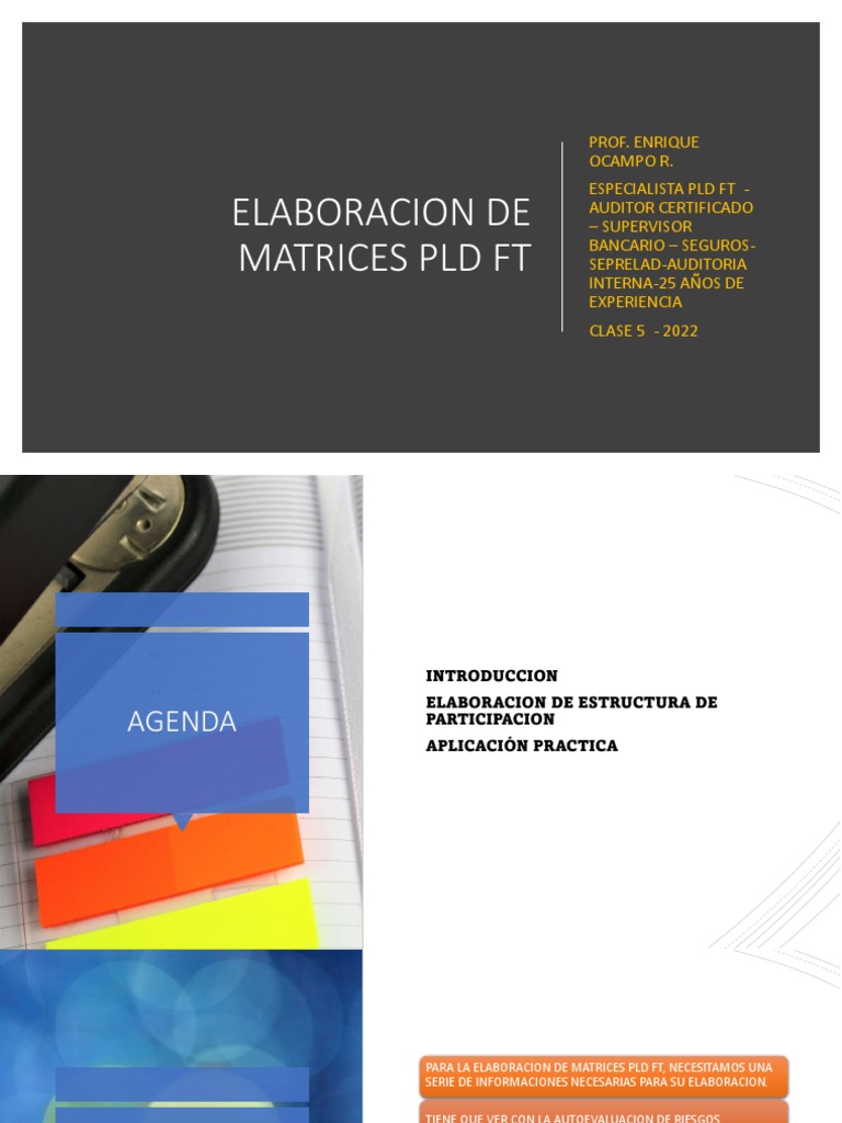 Elaboracion de Matrices PLD FT | PDF | Riesgo | Evaluación