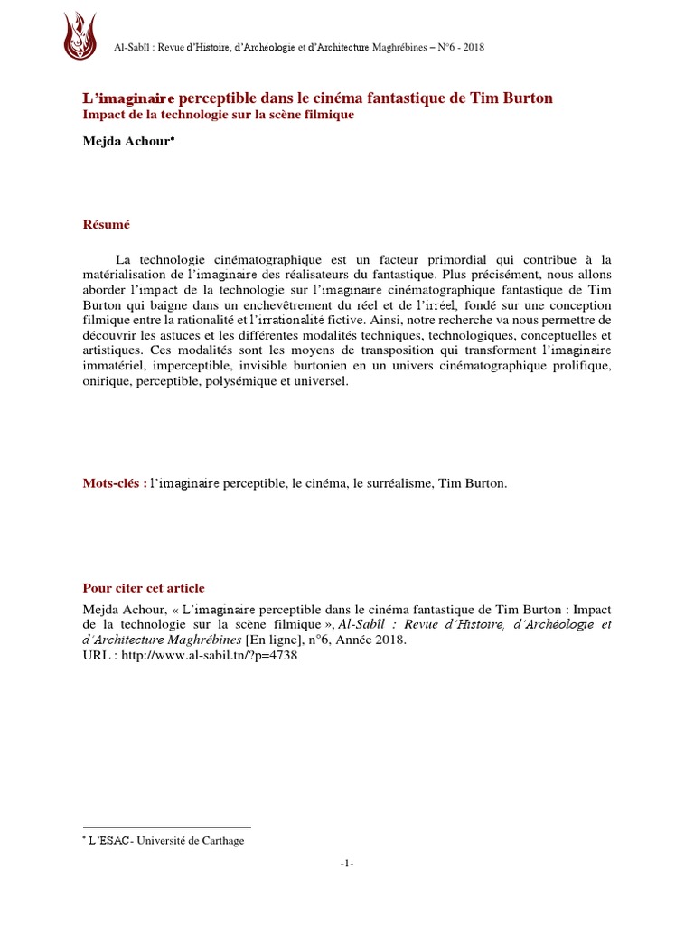 N6 Mejda Achour | PDF | Cinématographie | la perception