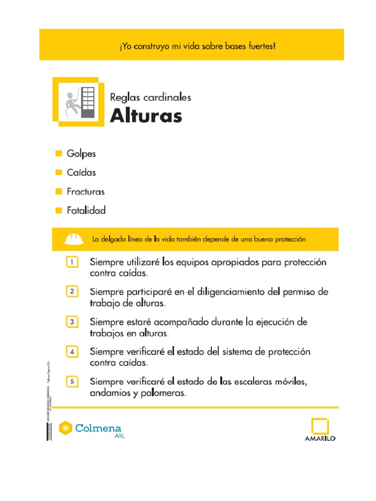 Reglas Cardinales | PDF
