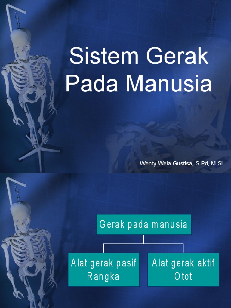 Alat Gerak Aktif dan Pasif Manusia | PDF | Ilmu Sosial