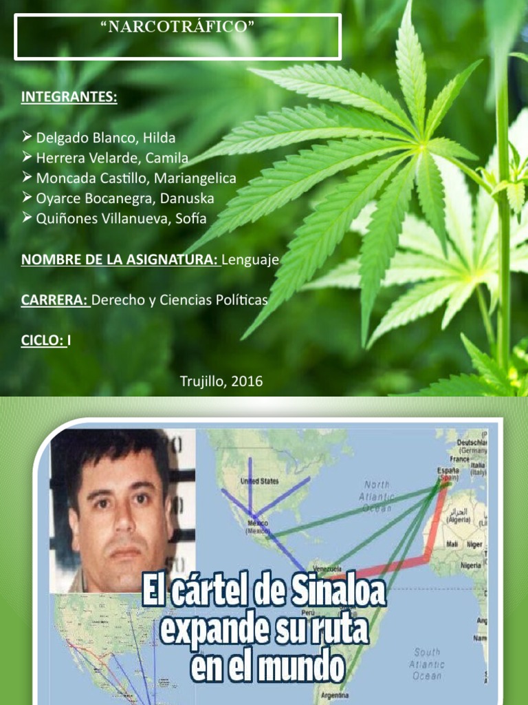 El Narcotrafico | Descargar gratis PDF | Comercio ilegal de drogas | Cartel de Sinaloa