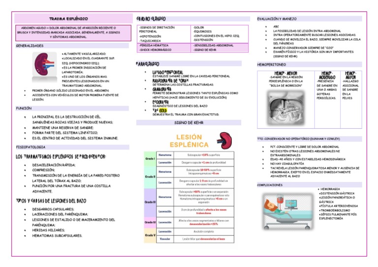 Trauma Esplénico | PDF | Abdomen | Enfermedades y trastornos