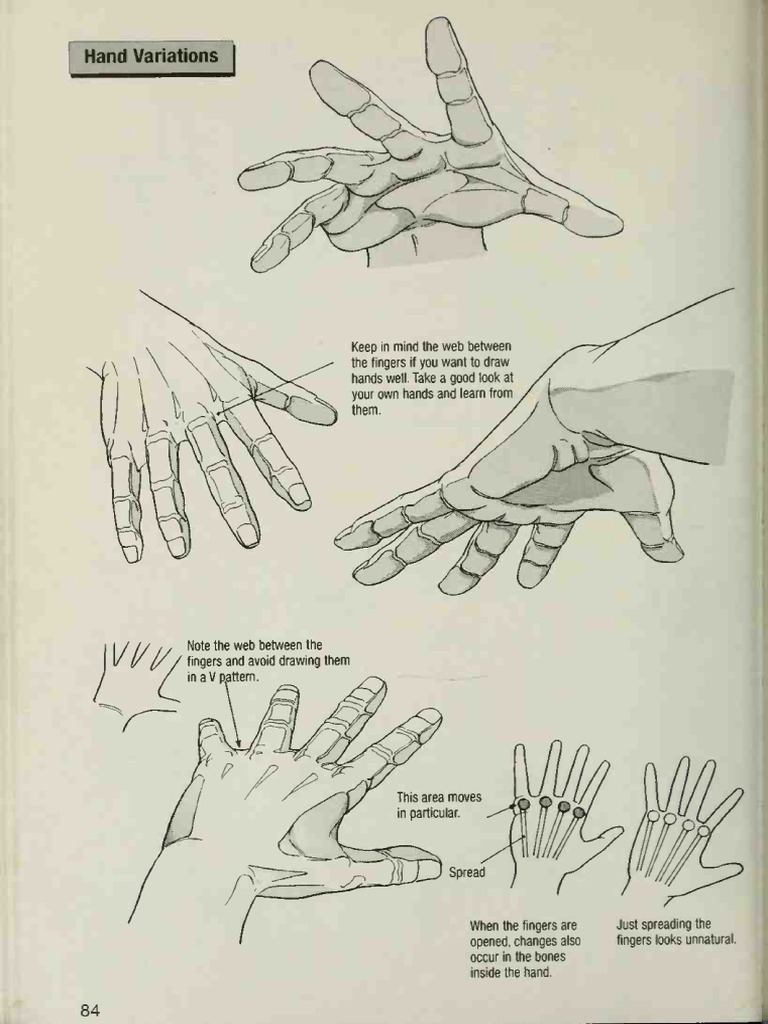 Manga Anatomy: Hands and Torso Variations | PDF