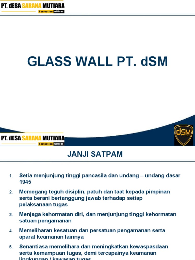 Action Plan Security DSM RSHD 2022 | PDF