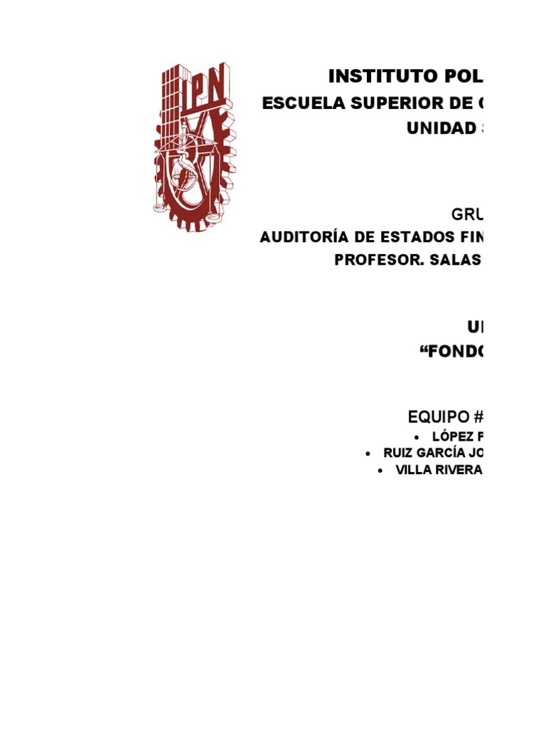 Auditoría Financiera de NU’UKUL S.A. | PDF | Economias