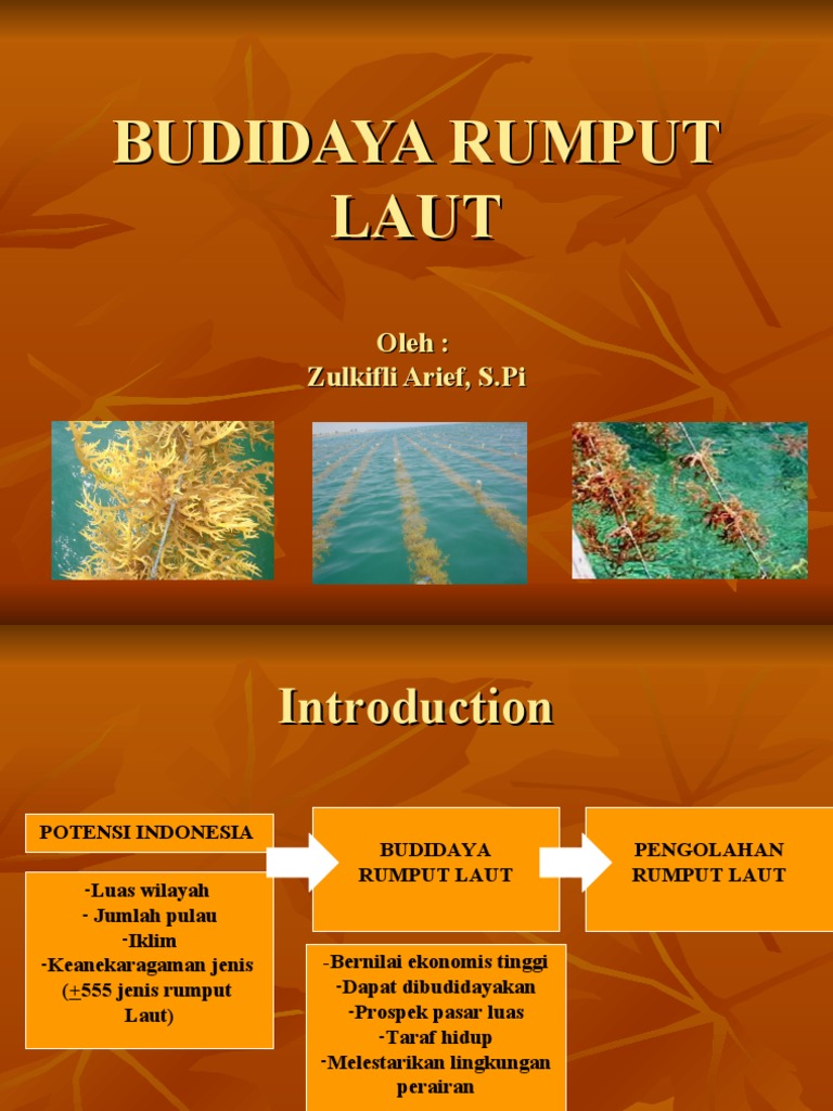 Budidaya Rumput Laut | PDF