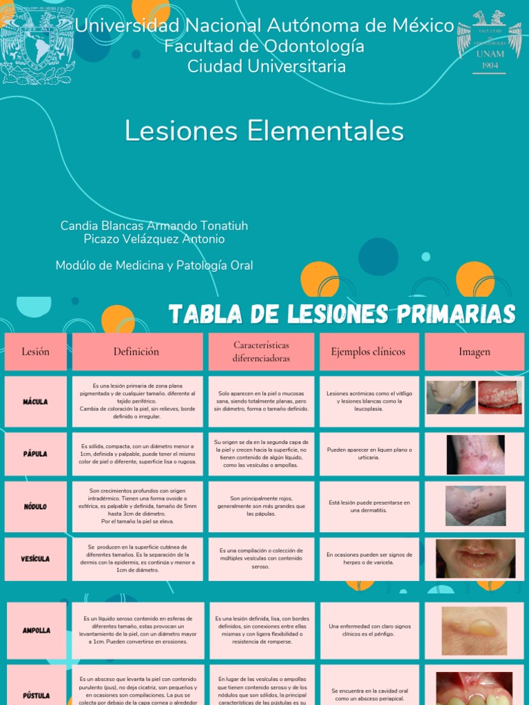 Lesiones Elementales | PDF | Piel | Medicina CLINICA