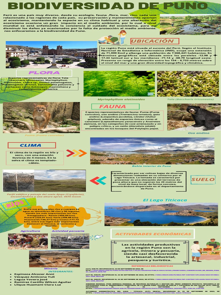 Infografía Sobre El Cuidado de Los Ecosistemas | PDF | Ecología | Naturaleza