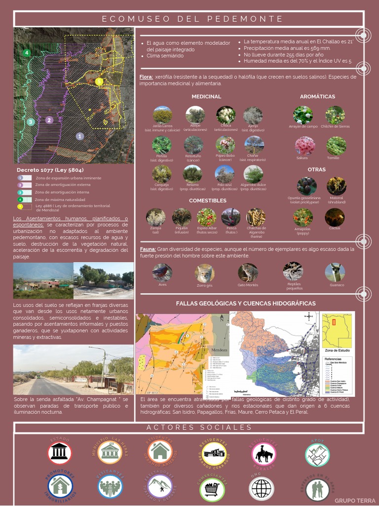 Flora y fauna del pedemonte mendocino | PDF | Ciencias de la Tierra